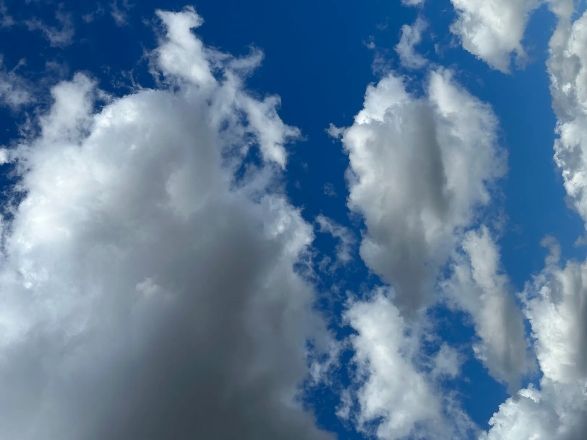 Posts | RIZZY - Buymeacoffee