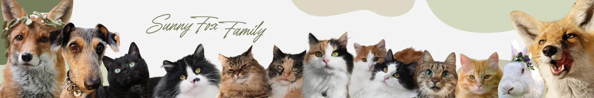 Membership | Sunny Fox Family - Buymeacoffee