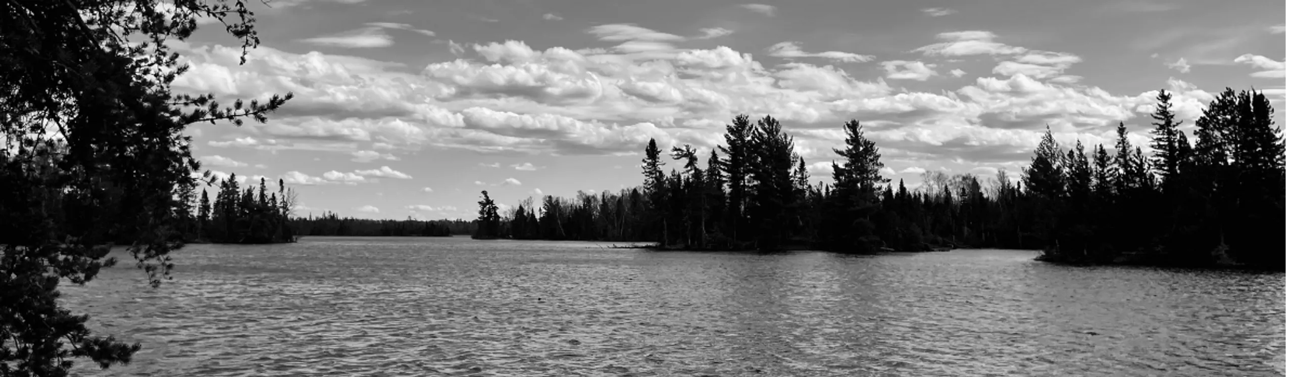 Seclusive Nature - Buymeacoffee