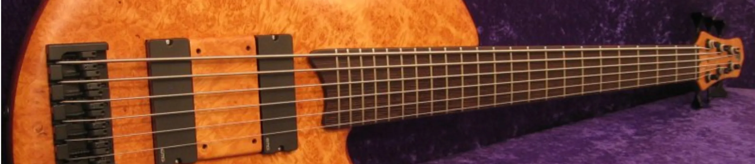 Drake Custom Bass is custom handmade bass guitars, guitars, mandolins ...