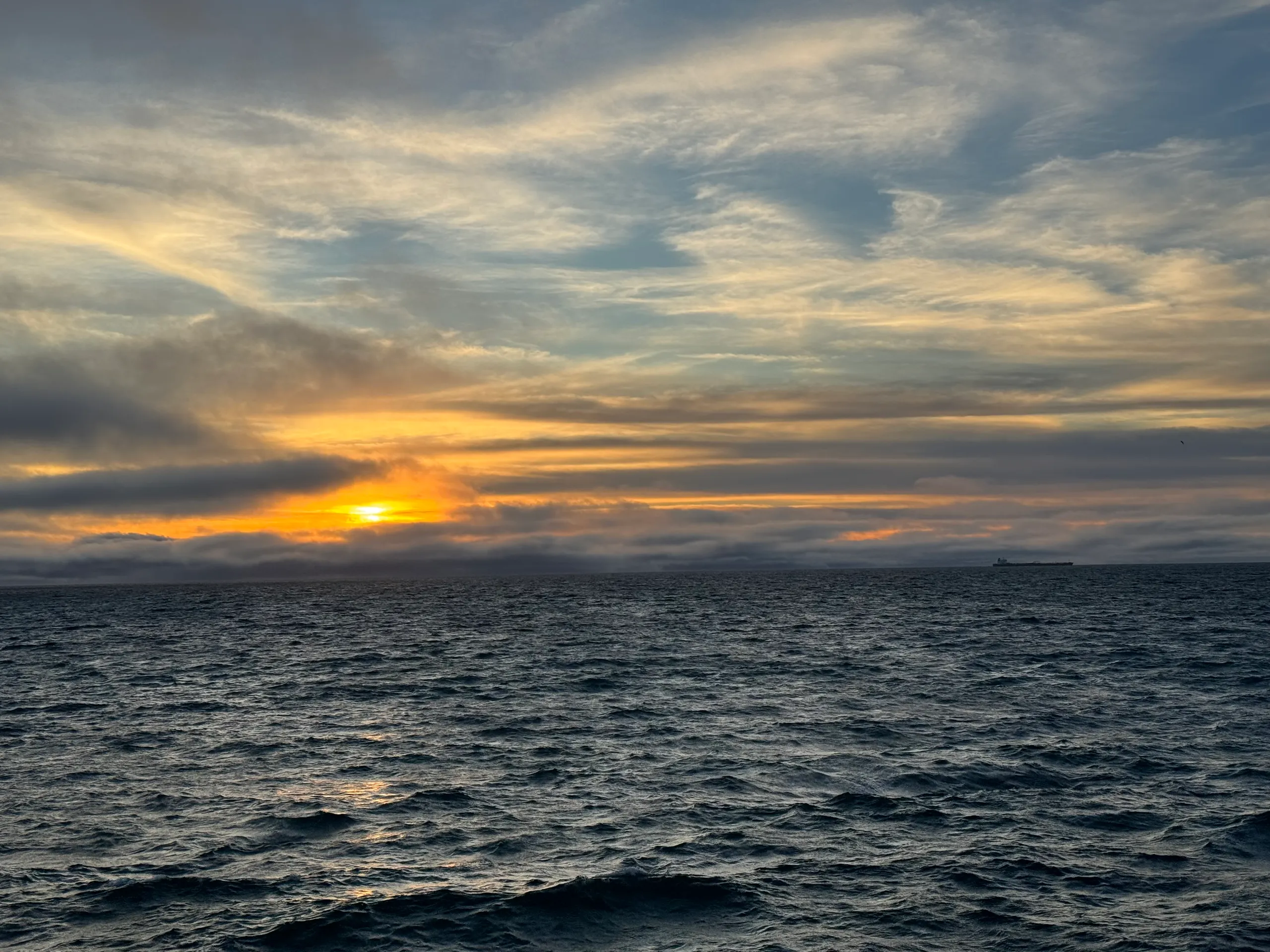 Kalen Dion is Poetry, photography, and music - Buymeacoffee