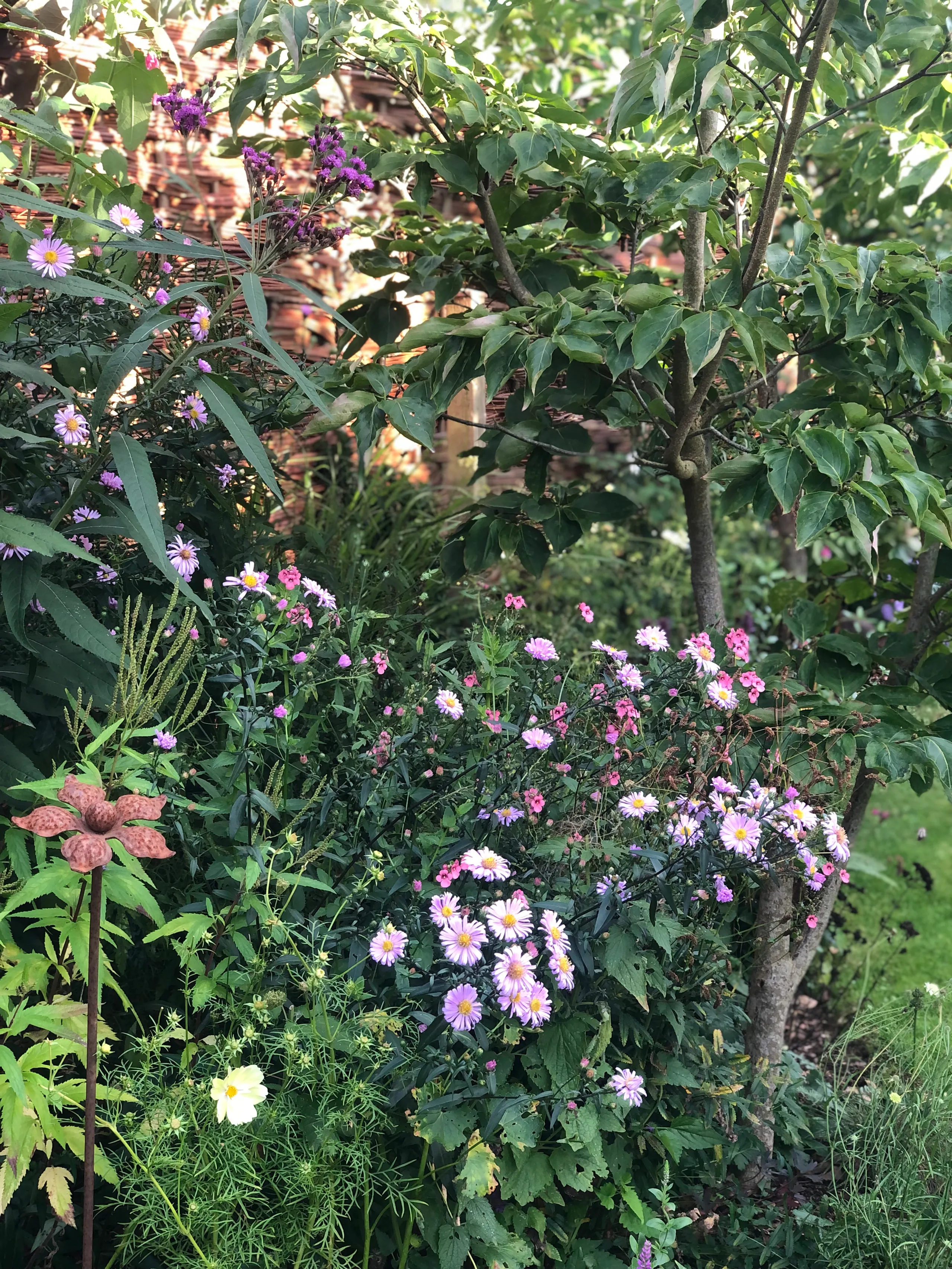 Imogen - Prune & Bloom - is Sharing my love of plants and gardening ...