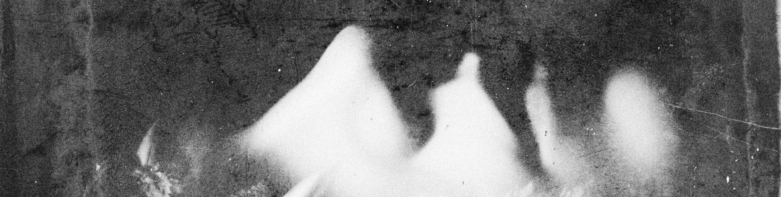 Shoo Mars is Art - Buymeacoffee