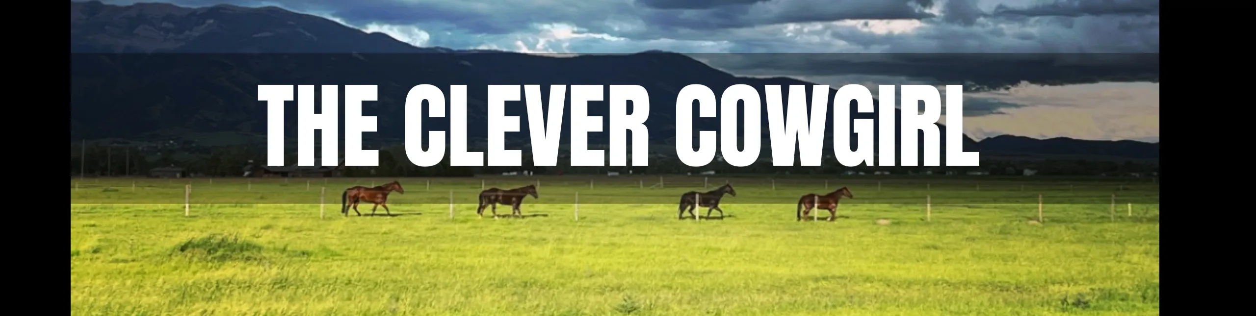 The Clever Cowgirl - Buymeacoffee