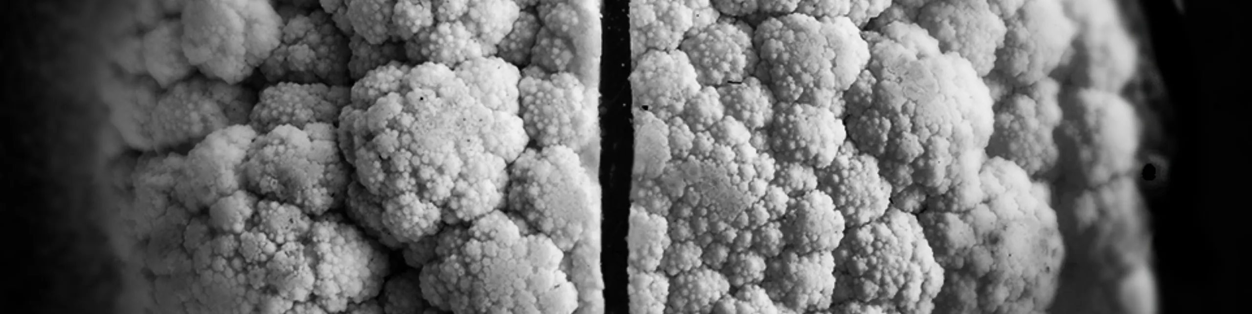 Adrian Lowe is A Photography e-book using the Psychology Of Imagery ...