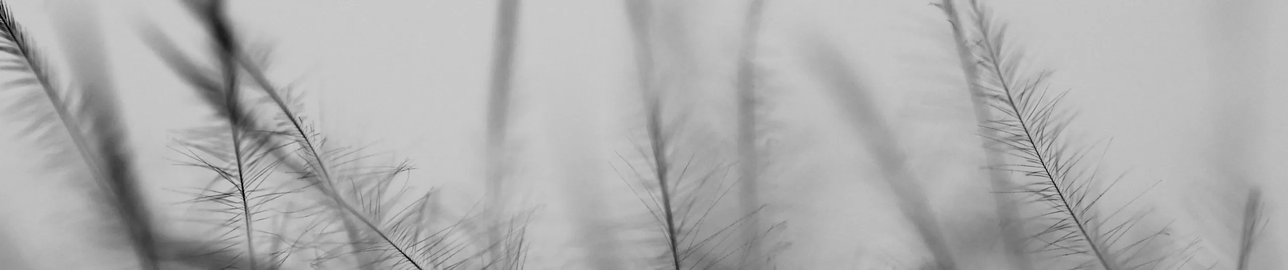 Quanta Media is Creating tutorial content for DaVinci Resolve ...