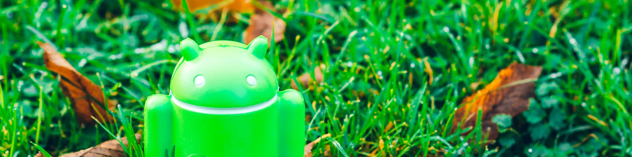 Anand Gaur - Buymeacoffee