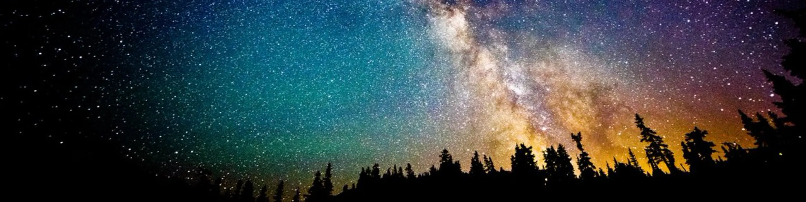 Maddie Rune🥀 is writing about the quiet ache of being human - Buymeacoffee