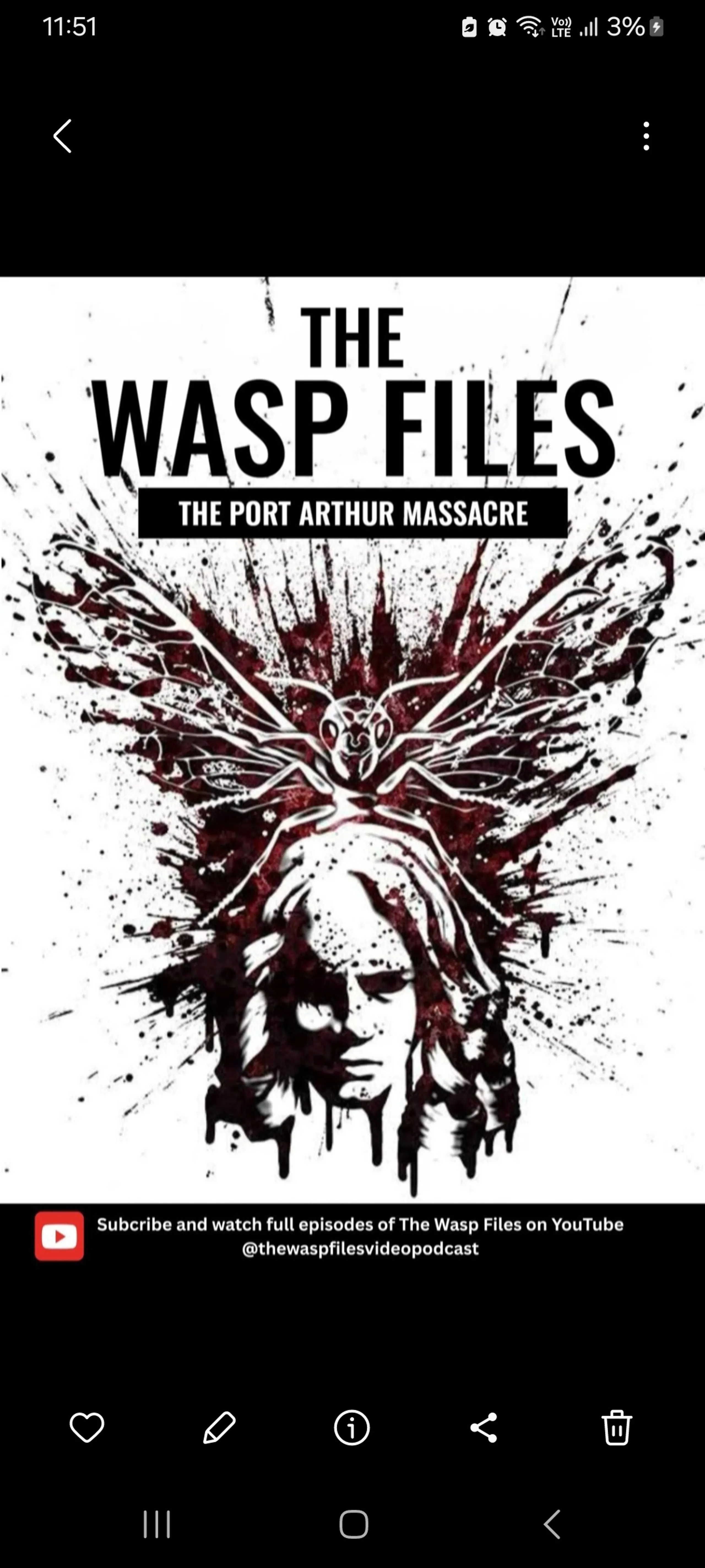 The Wasp Files is Ongoing video podcast on The Port Arthur Massacre ...