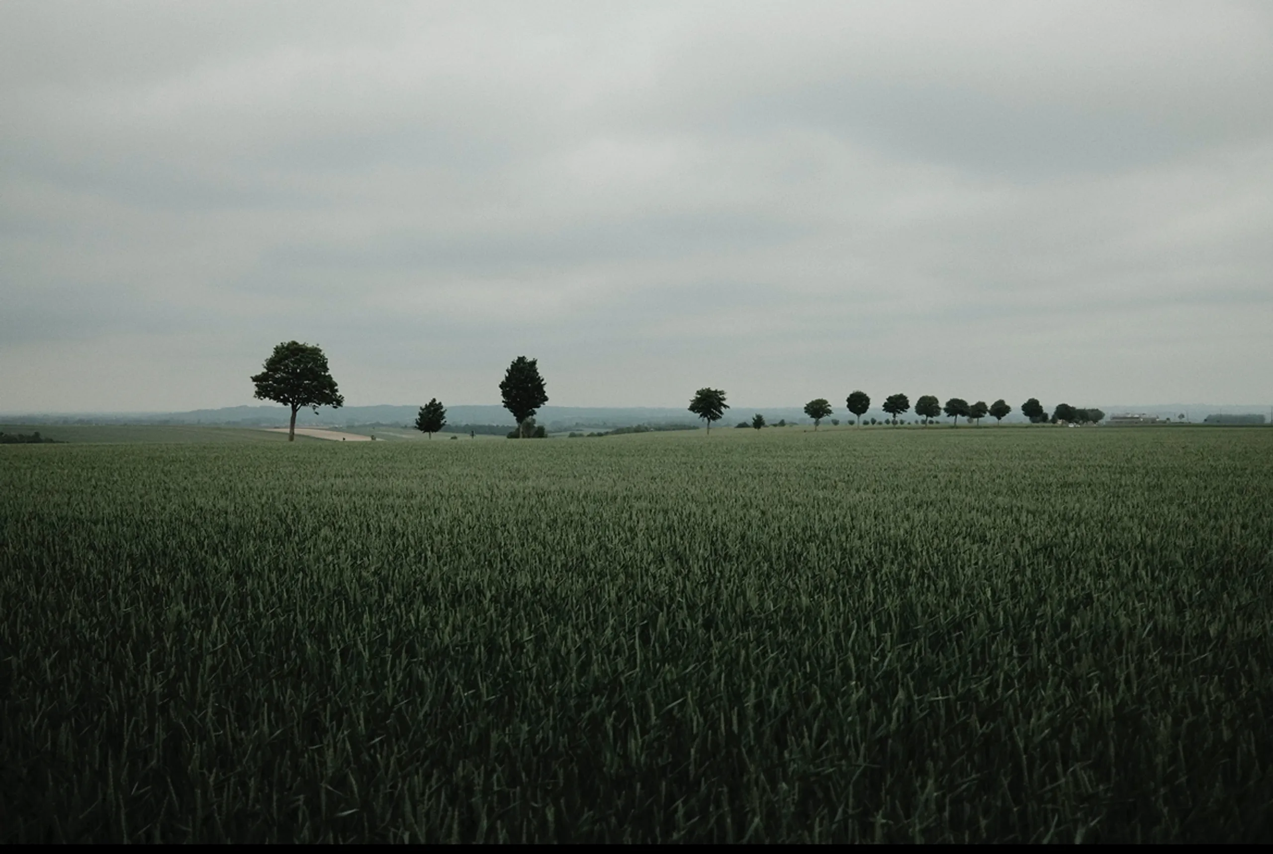 Joshua Cowan is Youtube daily films. - Buymeacoffee