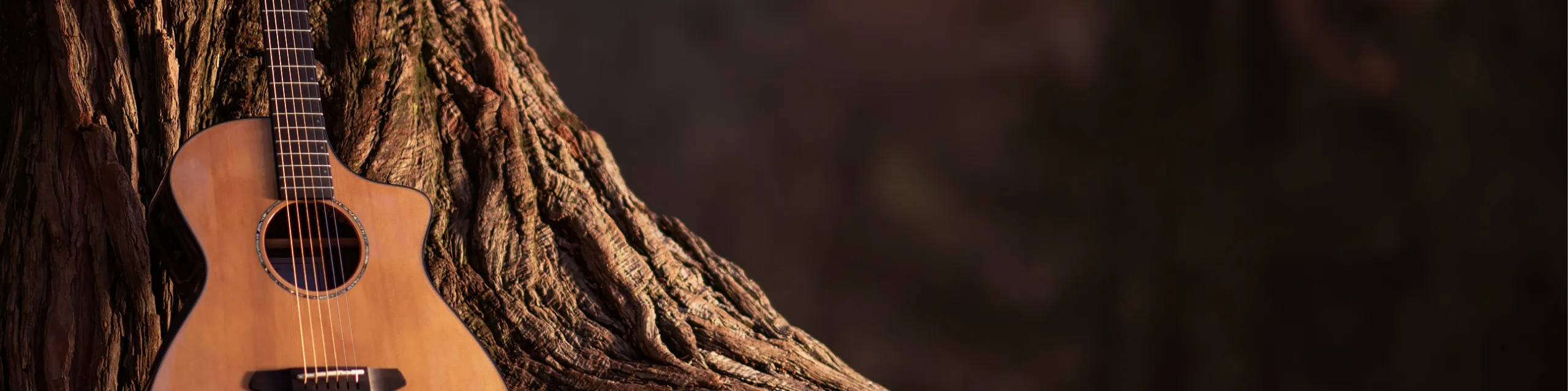 Stacey Elizabeth Maor is Folk-pop songs on and guitar and instructional ...