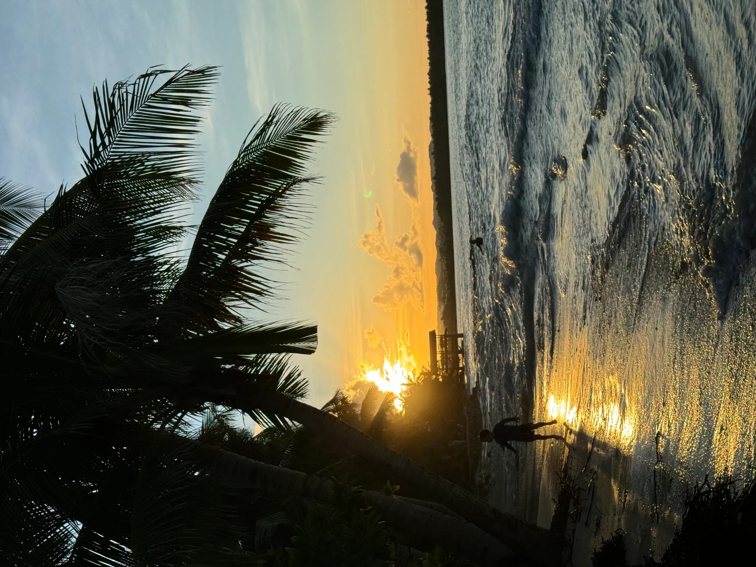 Papito Chismoso - Buymeacoffee