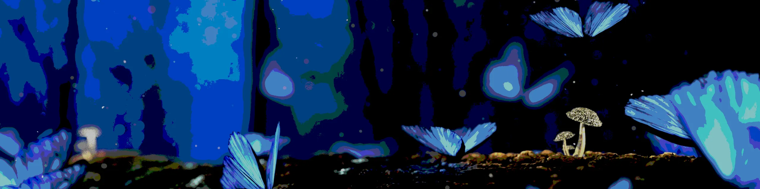 James Ross is I build cool software tools then host them on funny ...