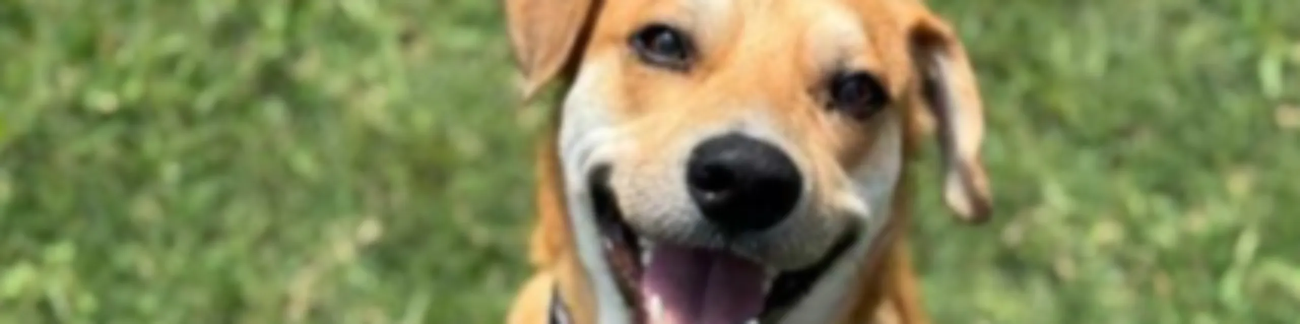 Eduard molina - Buymeacoffee