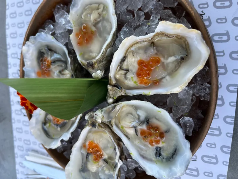 Edwina “QOP” Wilson is Coaching / Q&A on joyful Portugal & Mexico ex ...