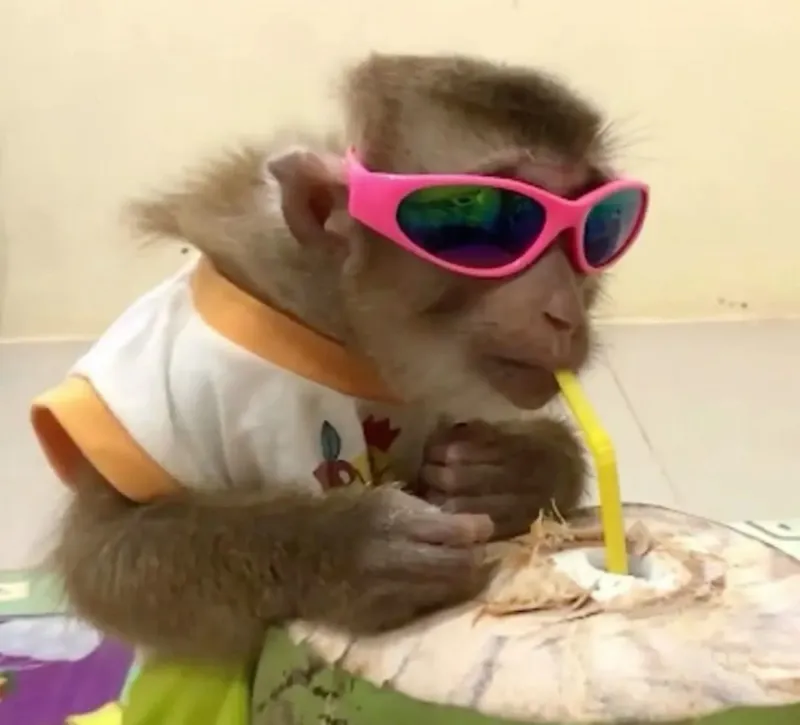 Nix von Beiar - Buymeacoffee