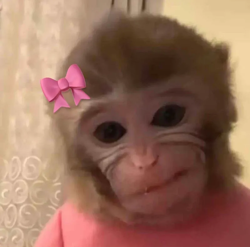 Nix von Beiar - Buymeacoffee