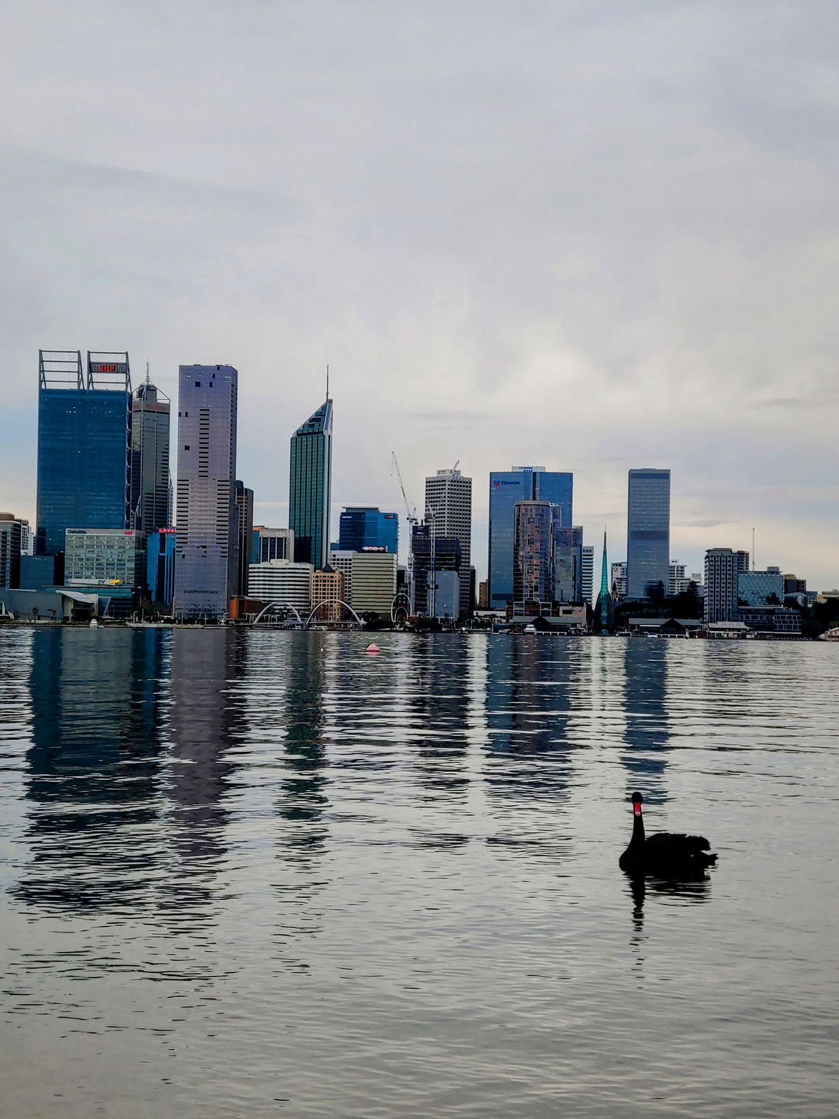 Talking about my Australian mate — Rochelle Del Borrello - Buymeacoffee