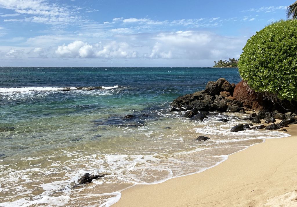 Top 10 Things to do on Maui this Winter — Maui Guide