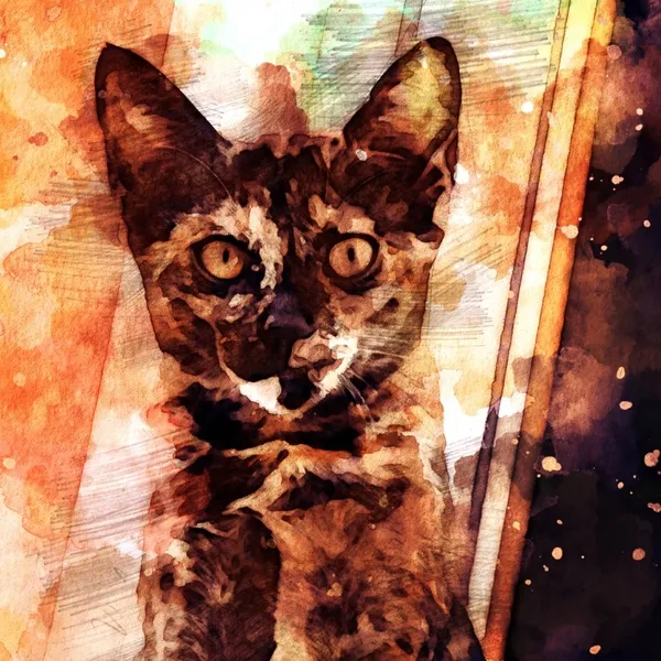 Simon Rudd is making art - Buymeacoffee