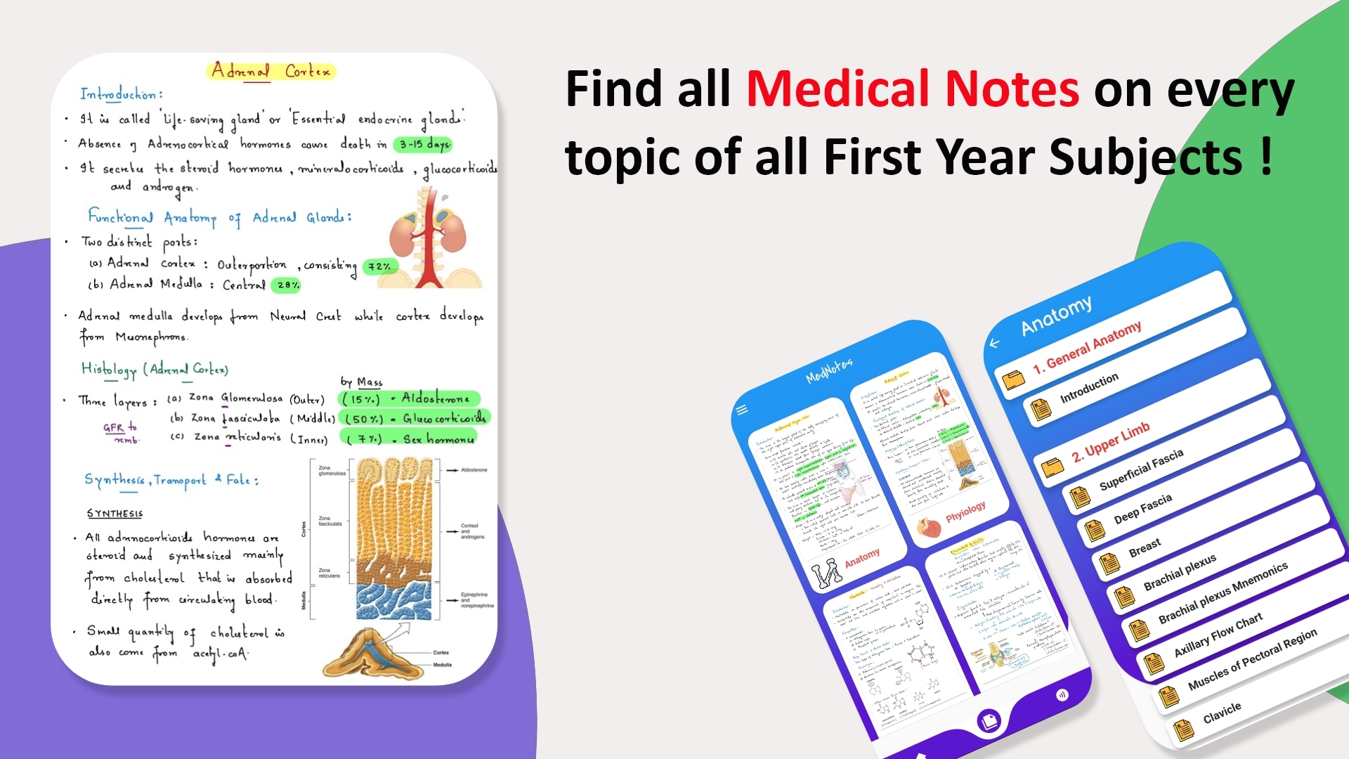 Introduction to MedNotes — MedNotes