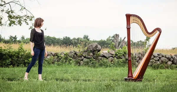 Kristan Toczko is a harpist creating song cover recordings & videos ...