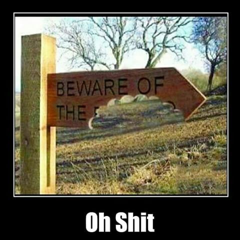 Overland Memes and Funny Pics — Joey the BROfessor