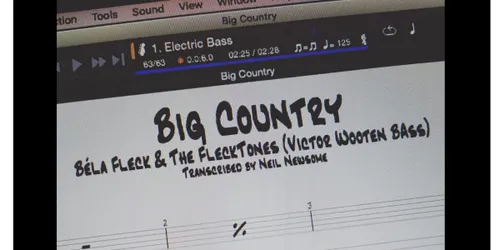 Neil Newsome is creating accurate transcriptions of great bass lines ...