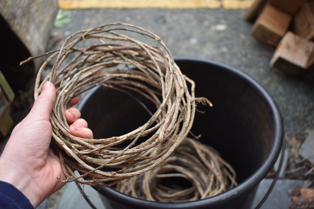 Random Weave Bowl Tutorial - Bramble — foragedfibres