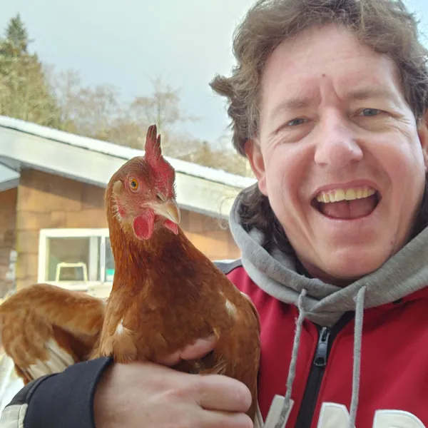 Gallery | Stephen payne - Buymeacoffee