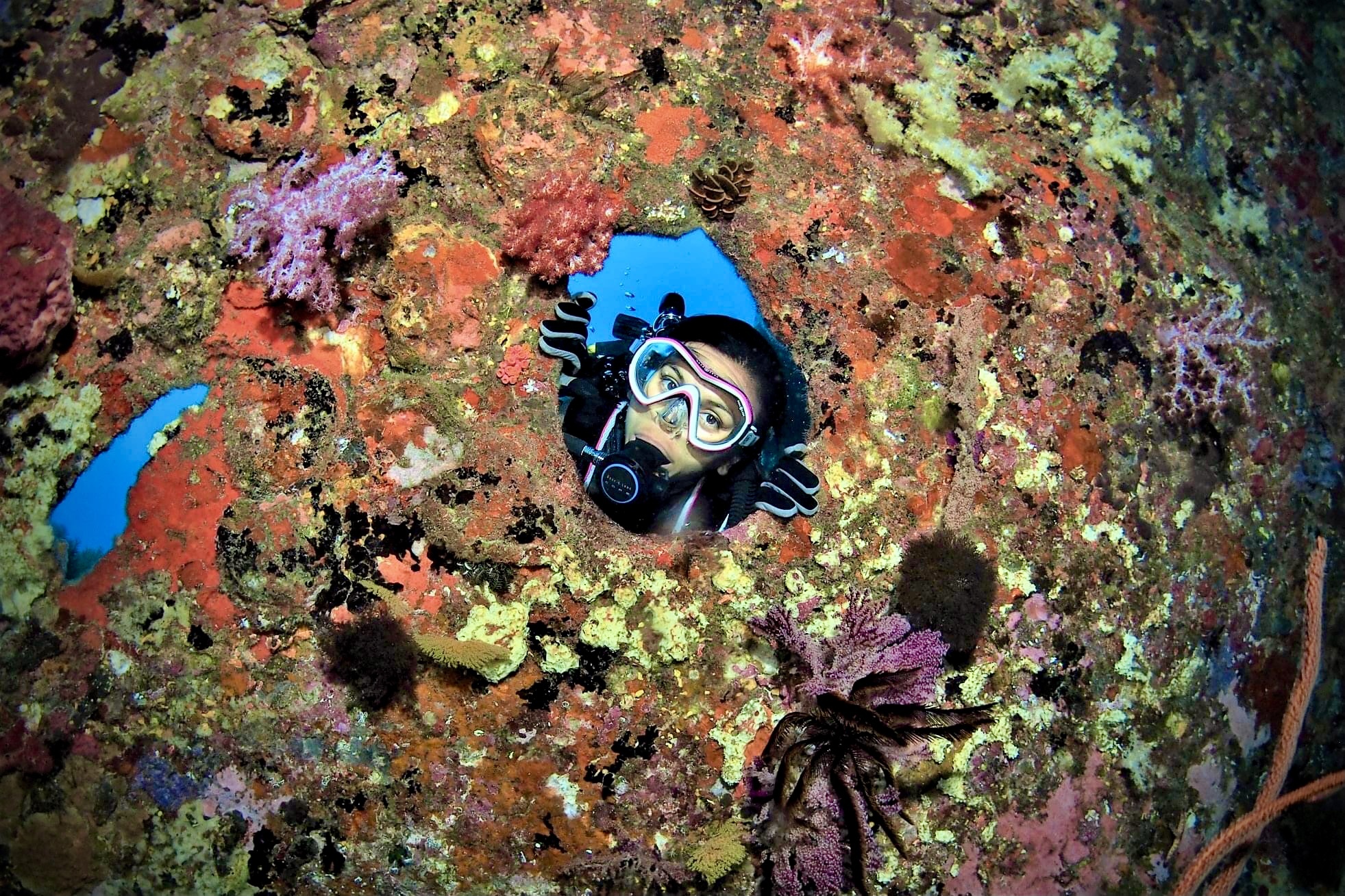 Diving the Surin Islands — JYoffe