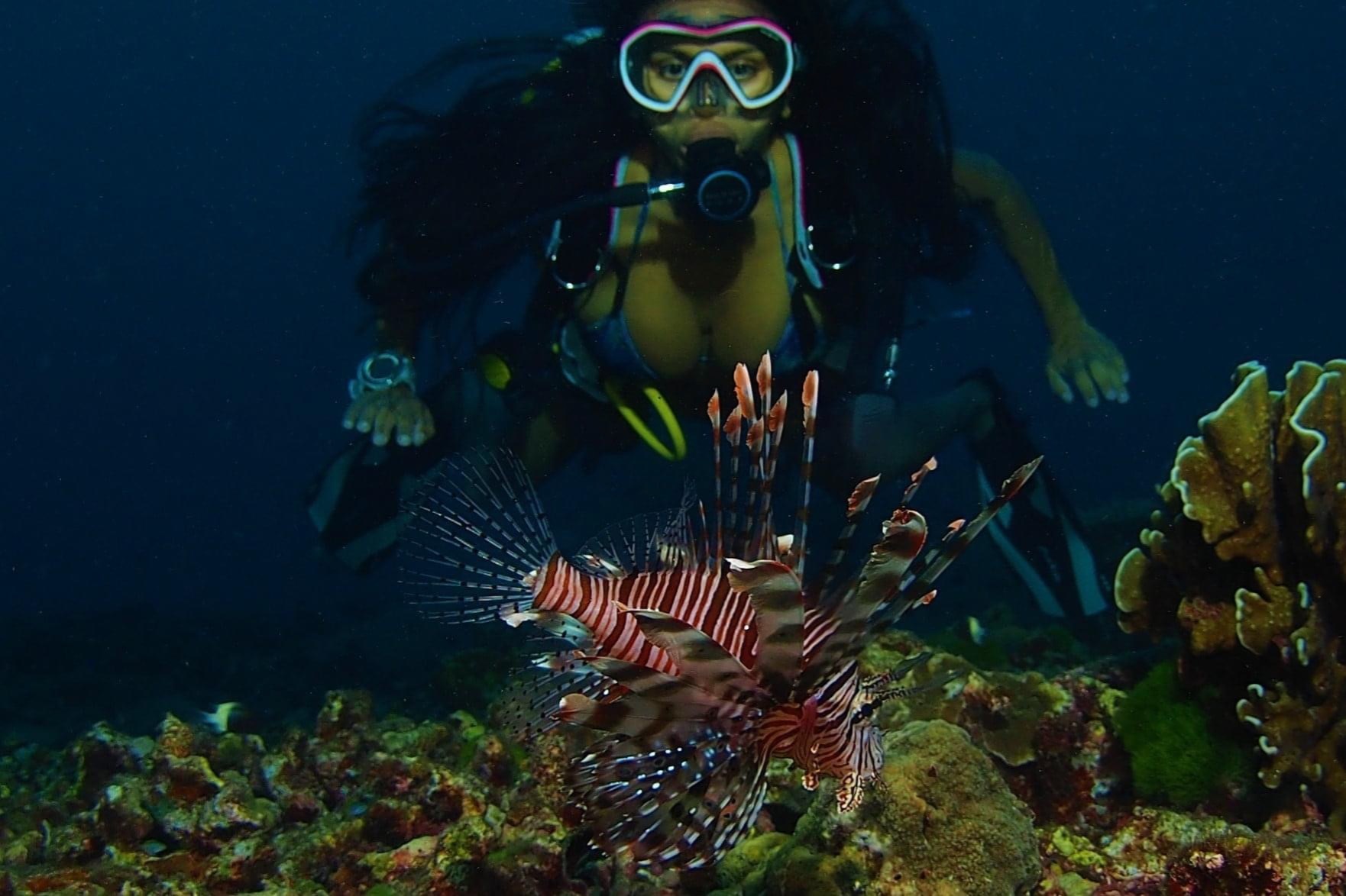 Diving the Surin Islands — JYoffe