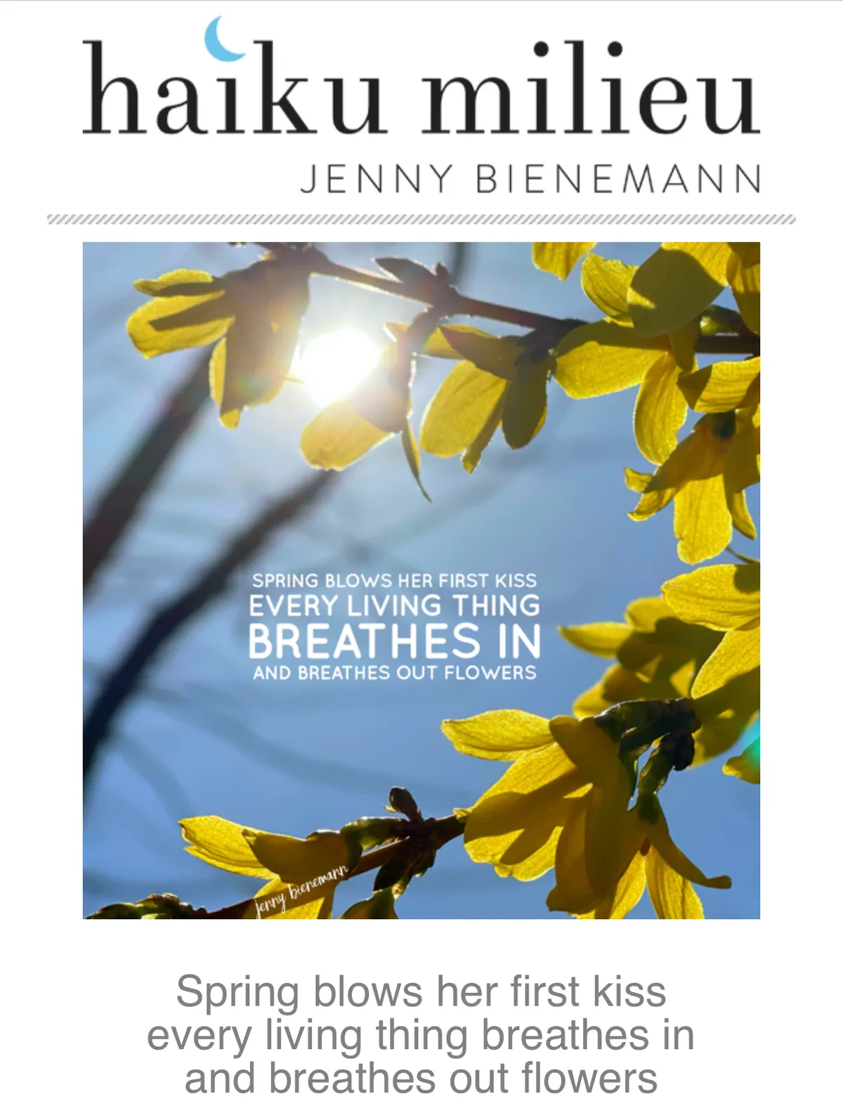 Haiku Milieu is Images, music and haiku to restore the sense of wonder ...