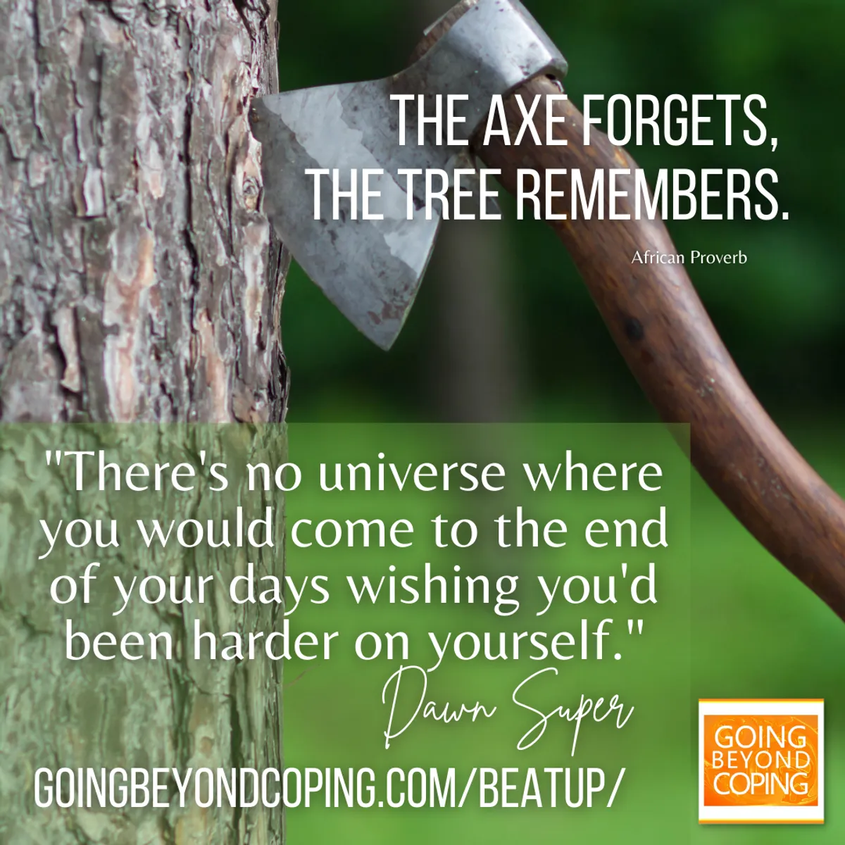 The axe forgets, the tree remembers — Dawn Super - Happy Matters