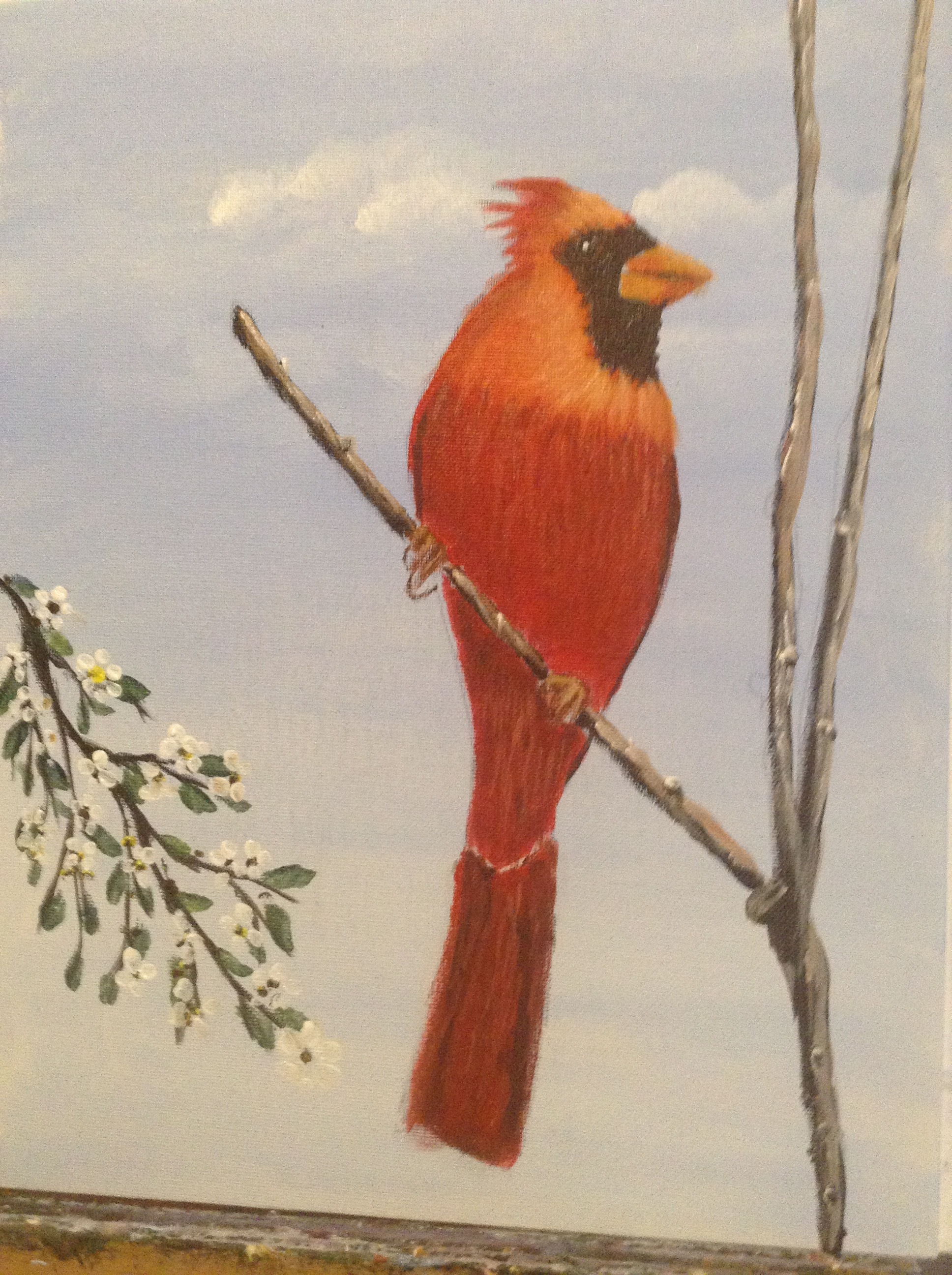 Learn to paint and draw with Allison Prior — allisonpriorart