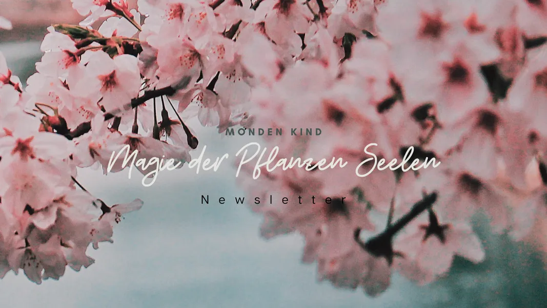 Juni News — Maria Reif