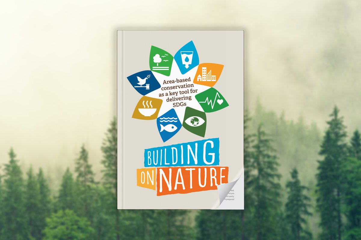 Building on nature: Area-based conservation as a key tool for ...