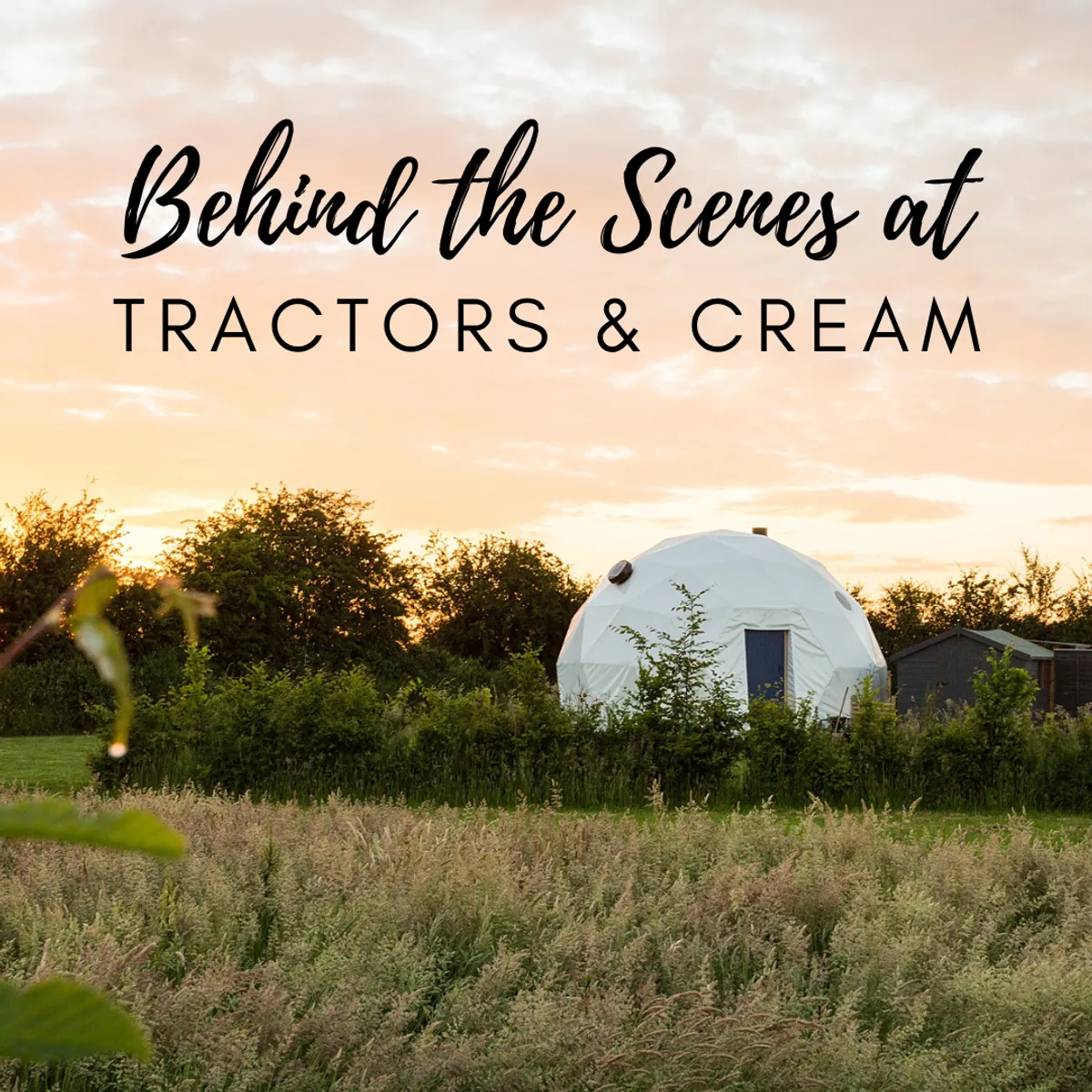 Tractors & Cream is owned by Vicki & Bryan who make content about ...