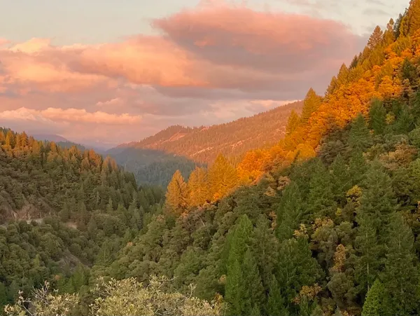 Robin Hagen is searching for the wild (and sometimes quiet) grace of ...