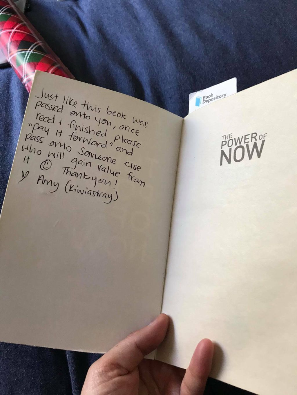 Pay It Forward Book Exchange — Amy Mckinnon