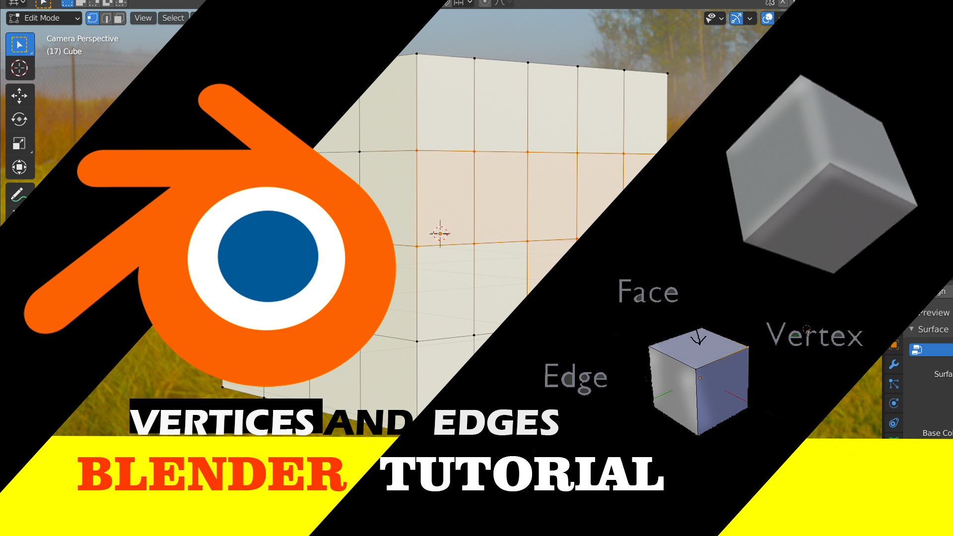 How To Add Edges And Vertices Blender 2 93 Tutorial Mucandaniel