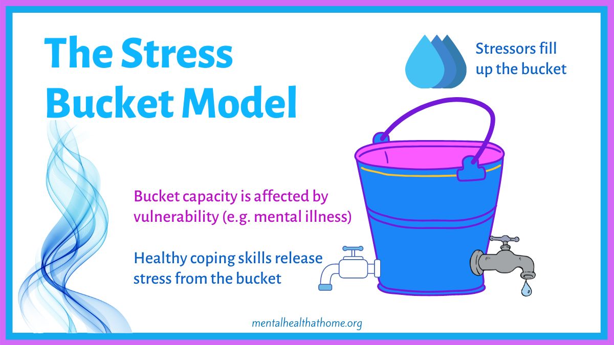 The Stress Bucket Model — Ashley L. Peterson - Buymeacoffee