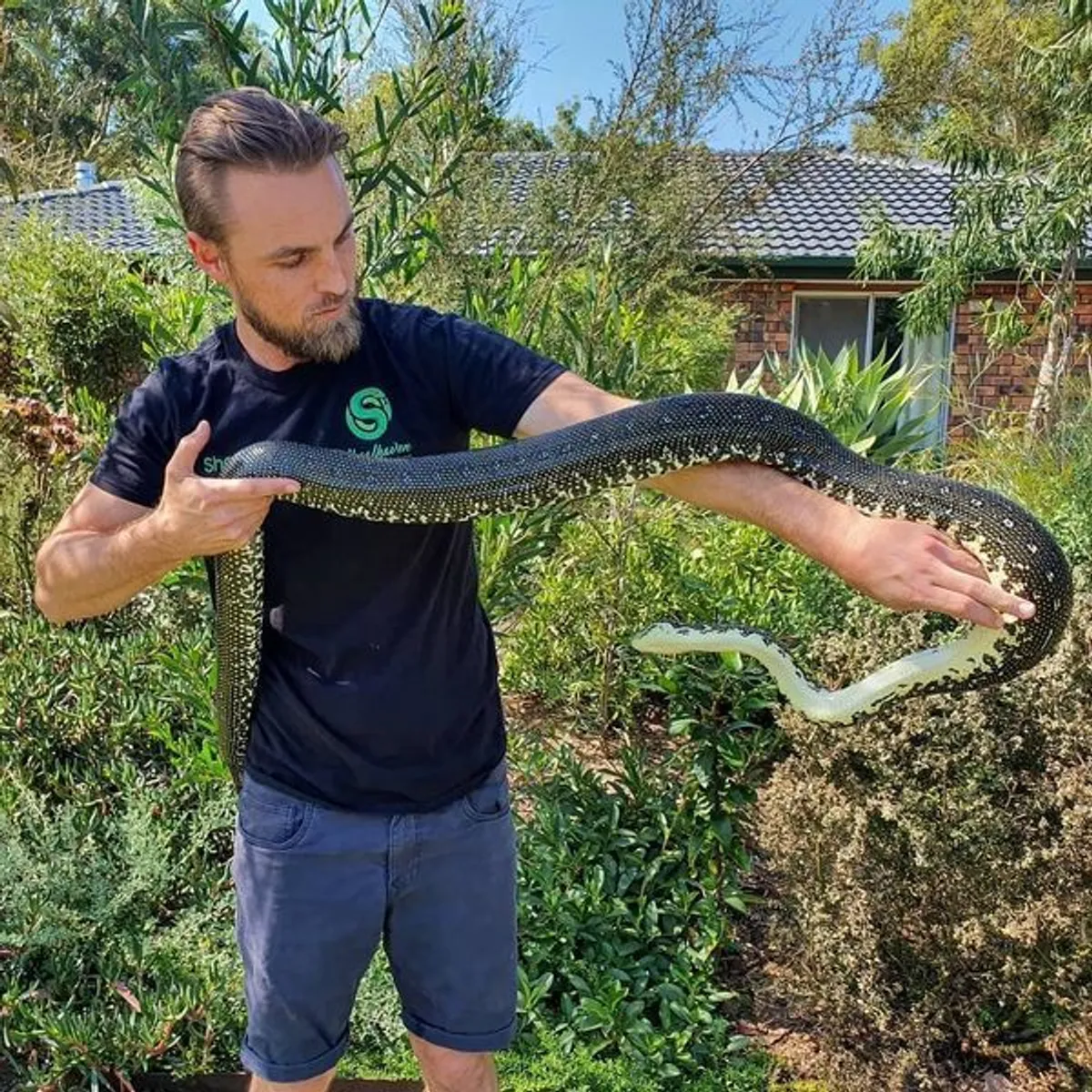 SnakeCatcher is creating videos of the jobs we attend to relocate ...