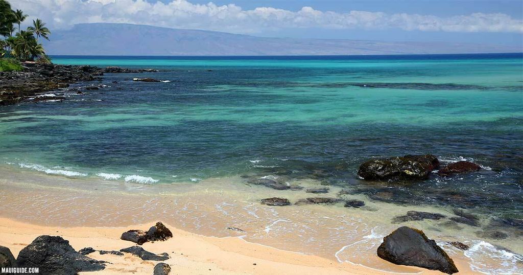Top 10 Things to do on Maui this Winter — Maui Guide