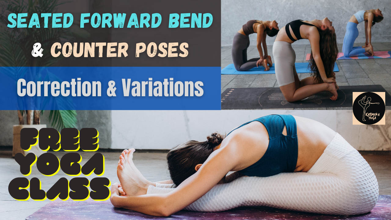 Yoga Posture Alignment Correction, Variations & Counterposes — Katimera ...