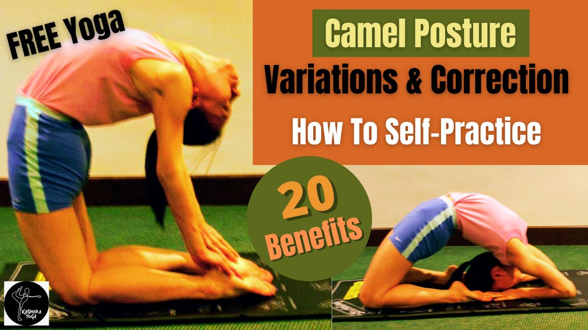 Yoga Posture Variations & Correction on Camel Pose — Katimera Yoga ...