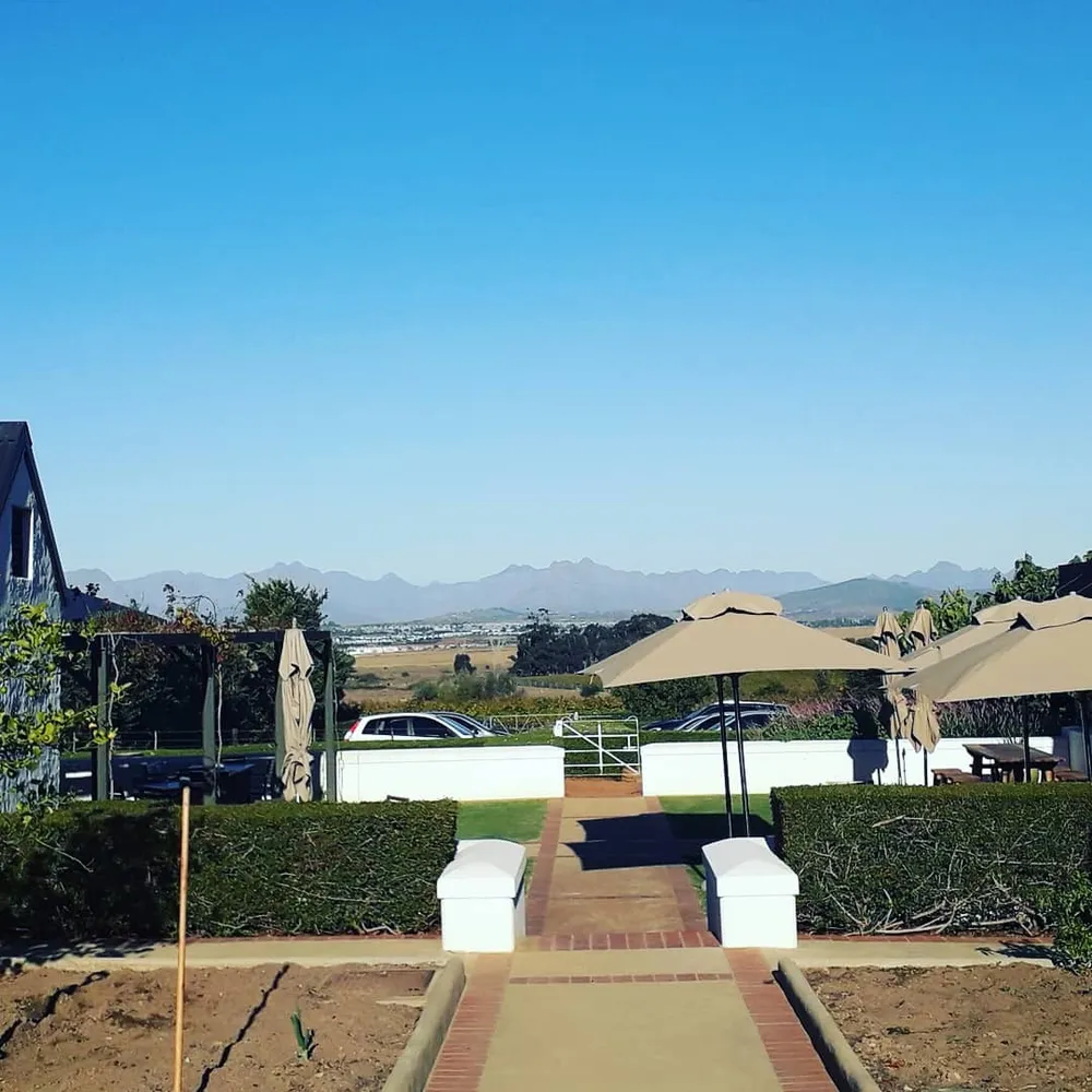 LandscapeArt Series - Welcome to Groot Phesantekraal in the Western ...