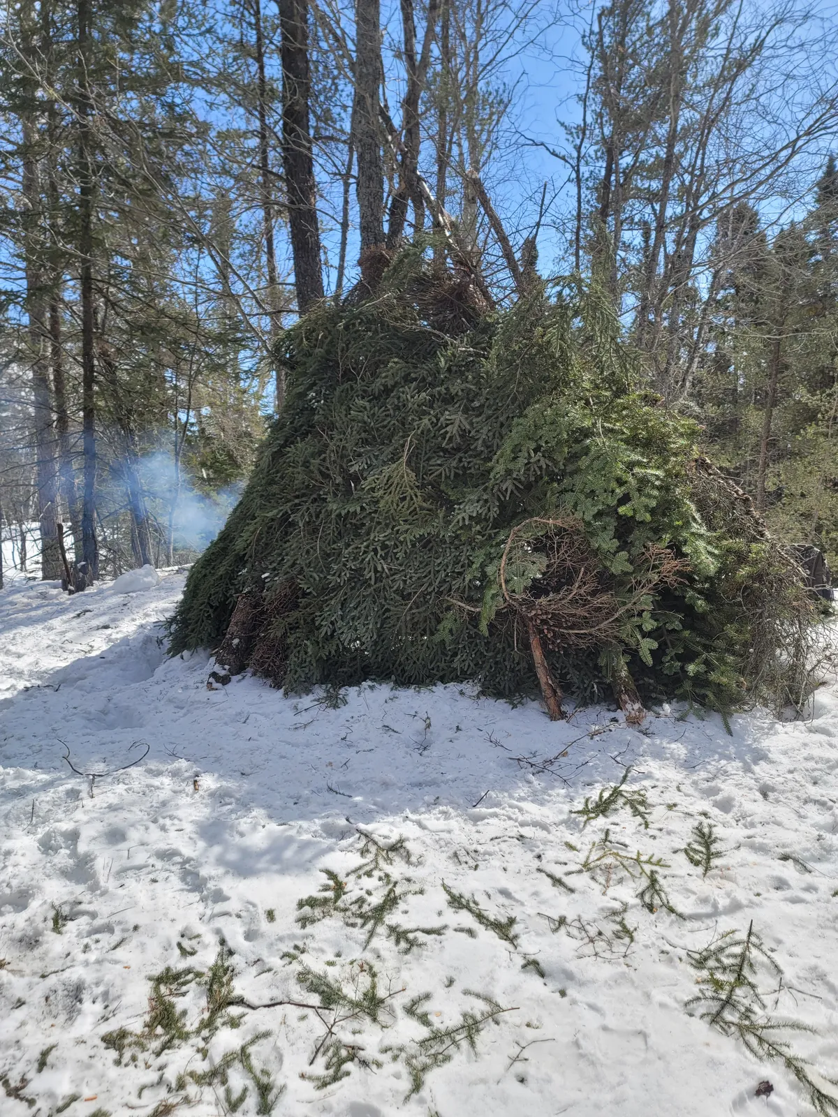 Grounding with Nature — Northern Front Homestead