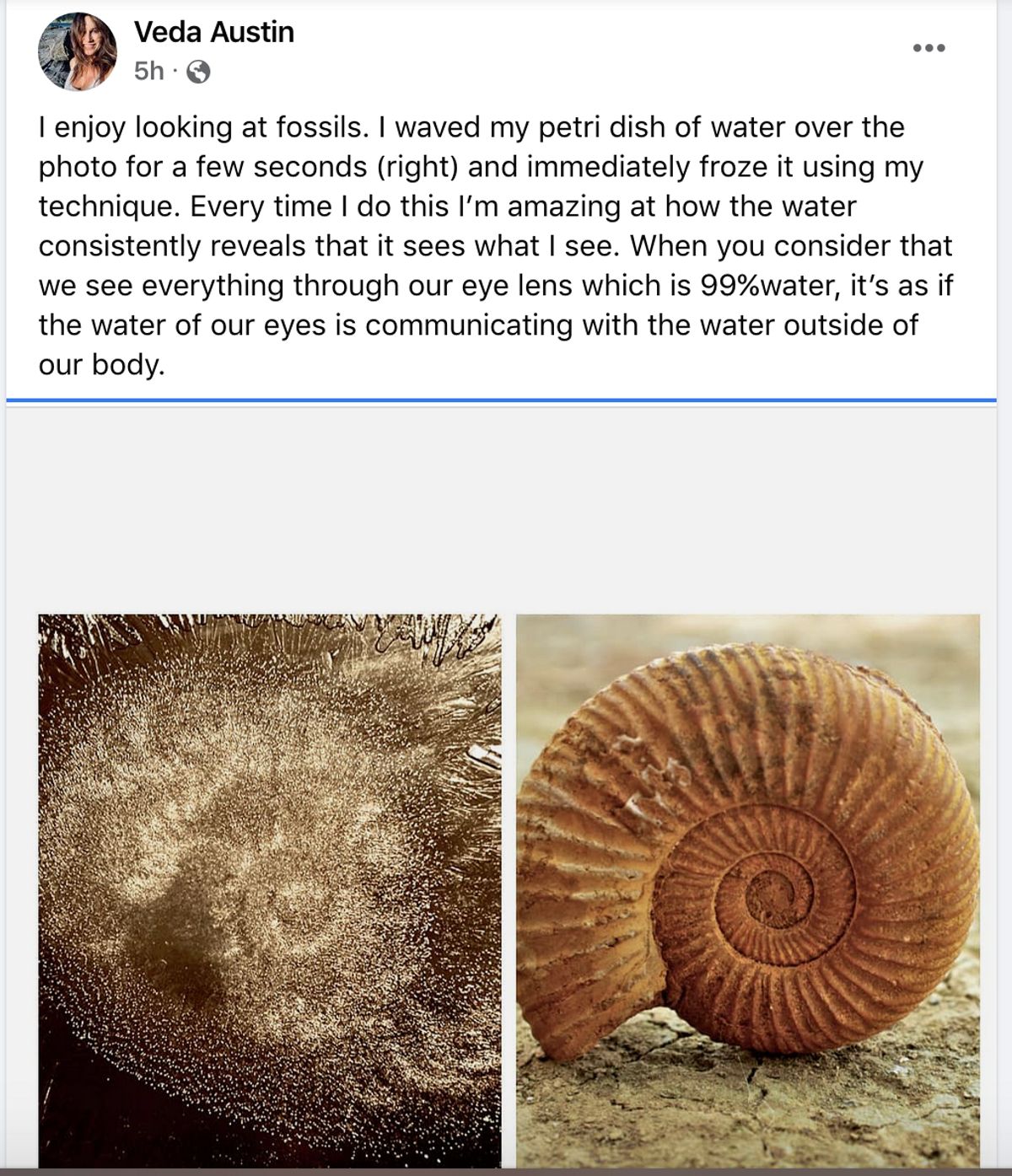 Water / Veda Austin — rioguzman