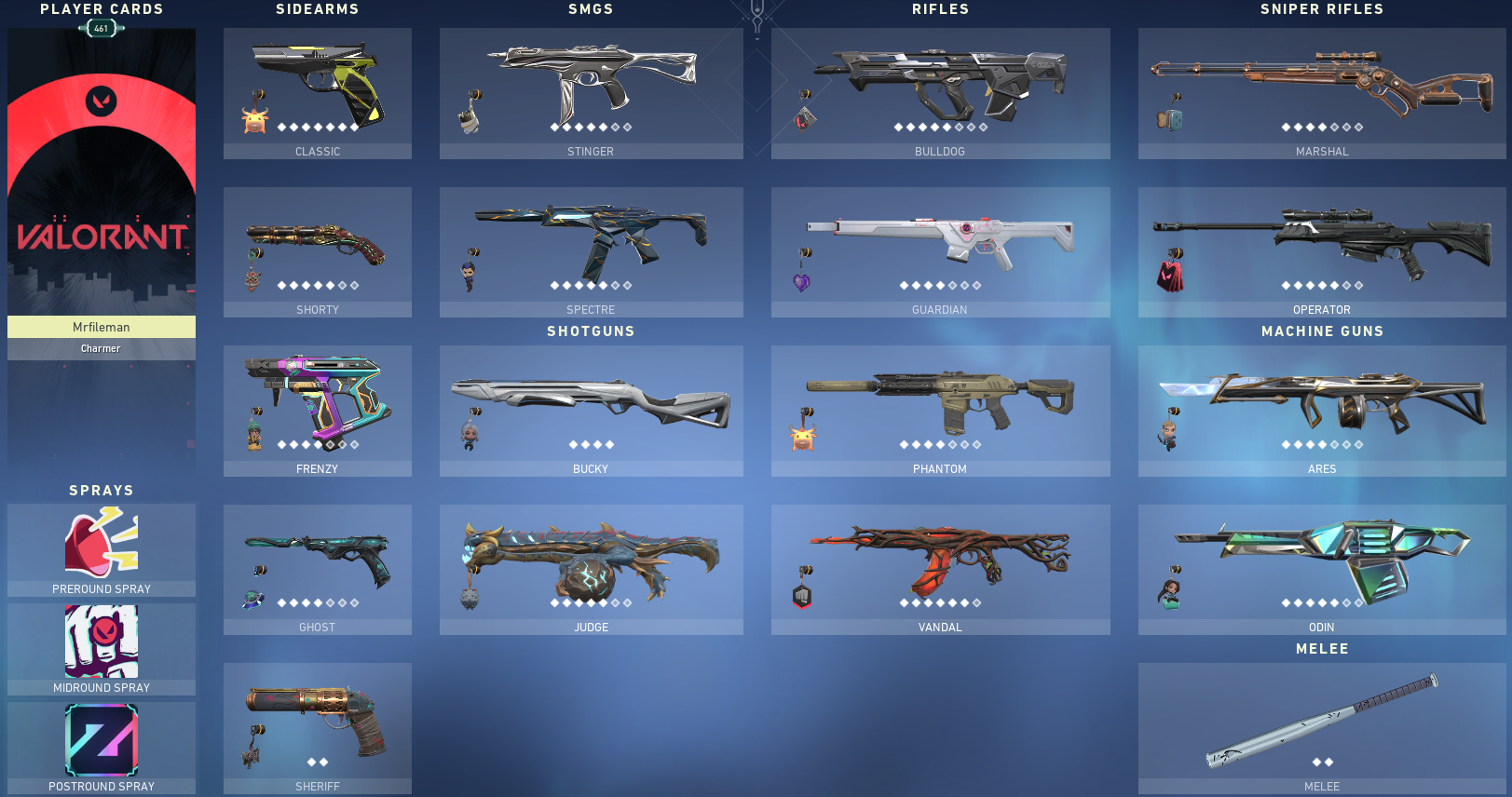 Valorant Loadout 4/12/22 — MrFileman